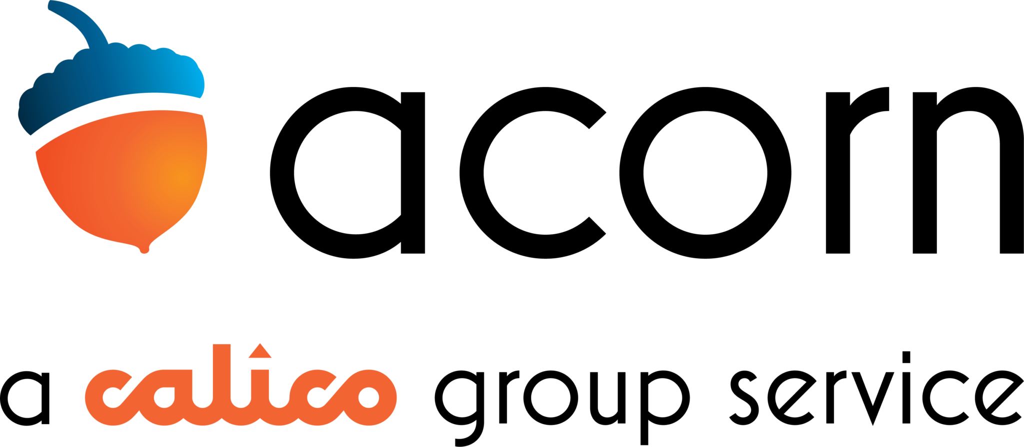 Acorn Recovery Projects - Innovative Addiction Services